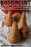Bosc Pears (how to tell when they’re ripe, and how to cook them) – The ...