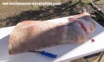 Cutting up a pig without a saw – The Nourishing Hearthfire