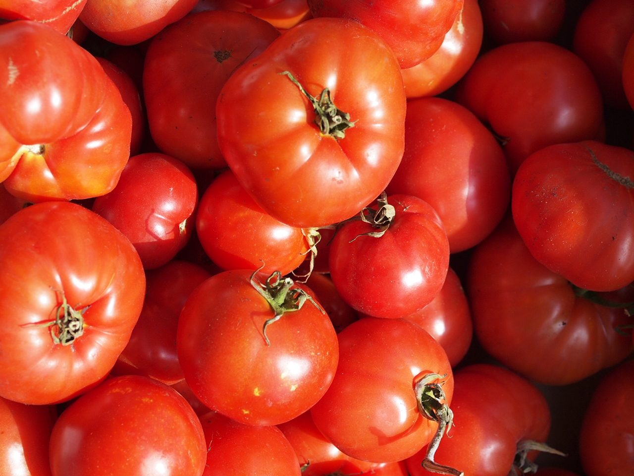 Easy ways to preserve tomatoes off the grid – The Nourishing Hearthfire