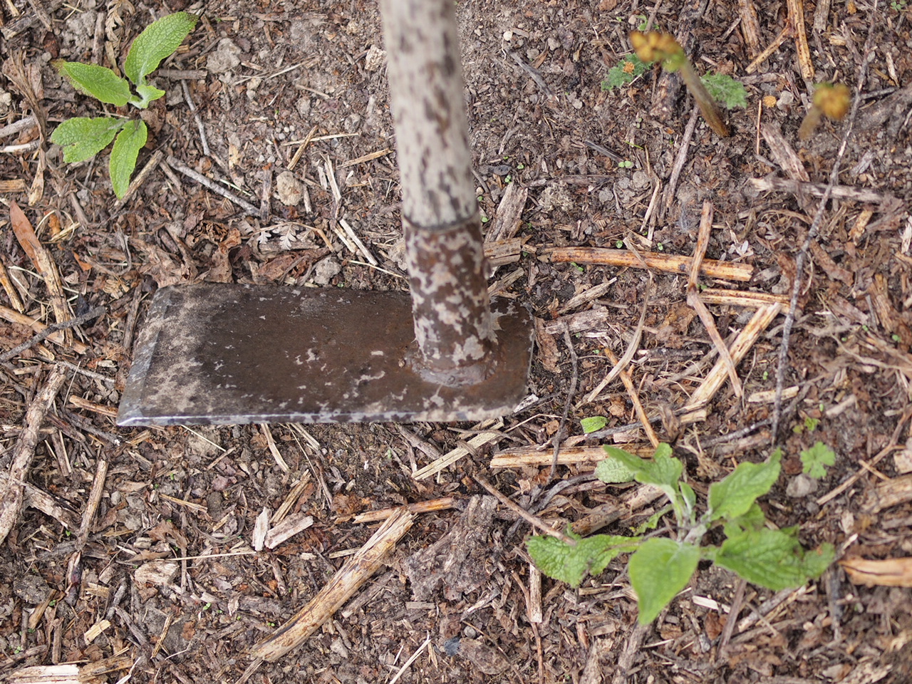 My favourite tools for self sufficient gardening on rough land – The ...