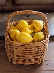 Quinces: How to prepare, cook, and preserve them – The Nourishing ...