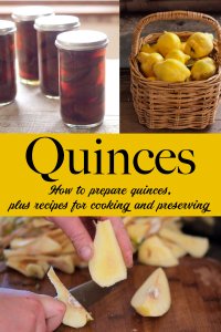 Quinces: How to prepare, cook, and preserve them – The Nourishing ...